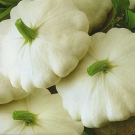 farmbox.cz - 1. opravdu lokální potraviny online v Brně! - Farmbox